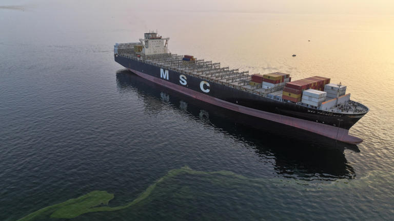 Iran challenged to release MSC Francesca crew