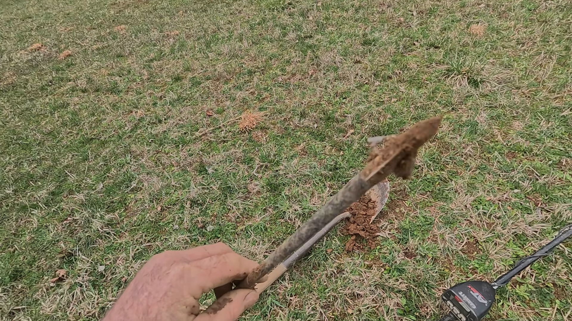 He found the biggest ant lion trap he’d ever seen - then an ant fell ...