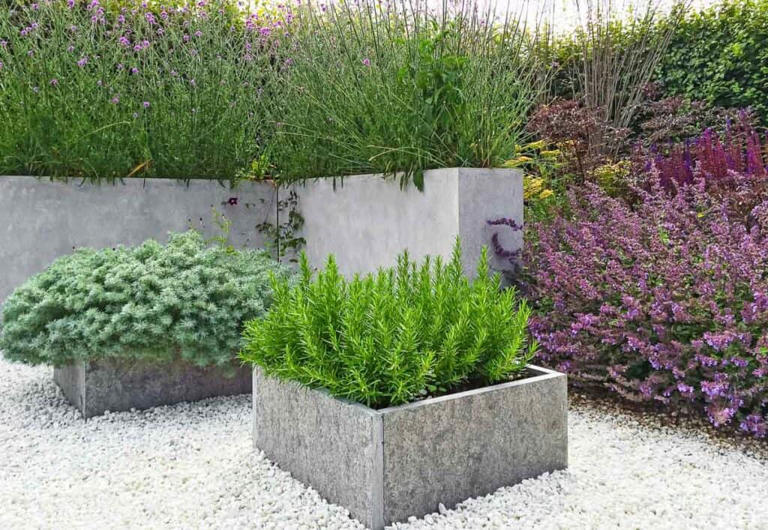 Gravel gardens are the low-water trend reshaping American yards in 2026