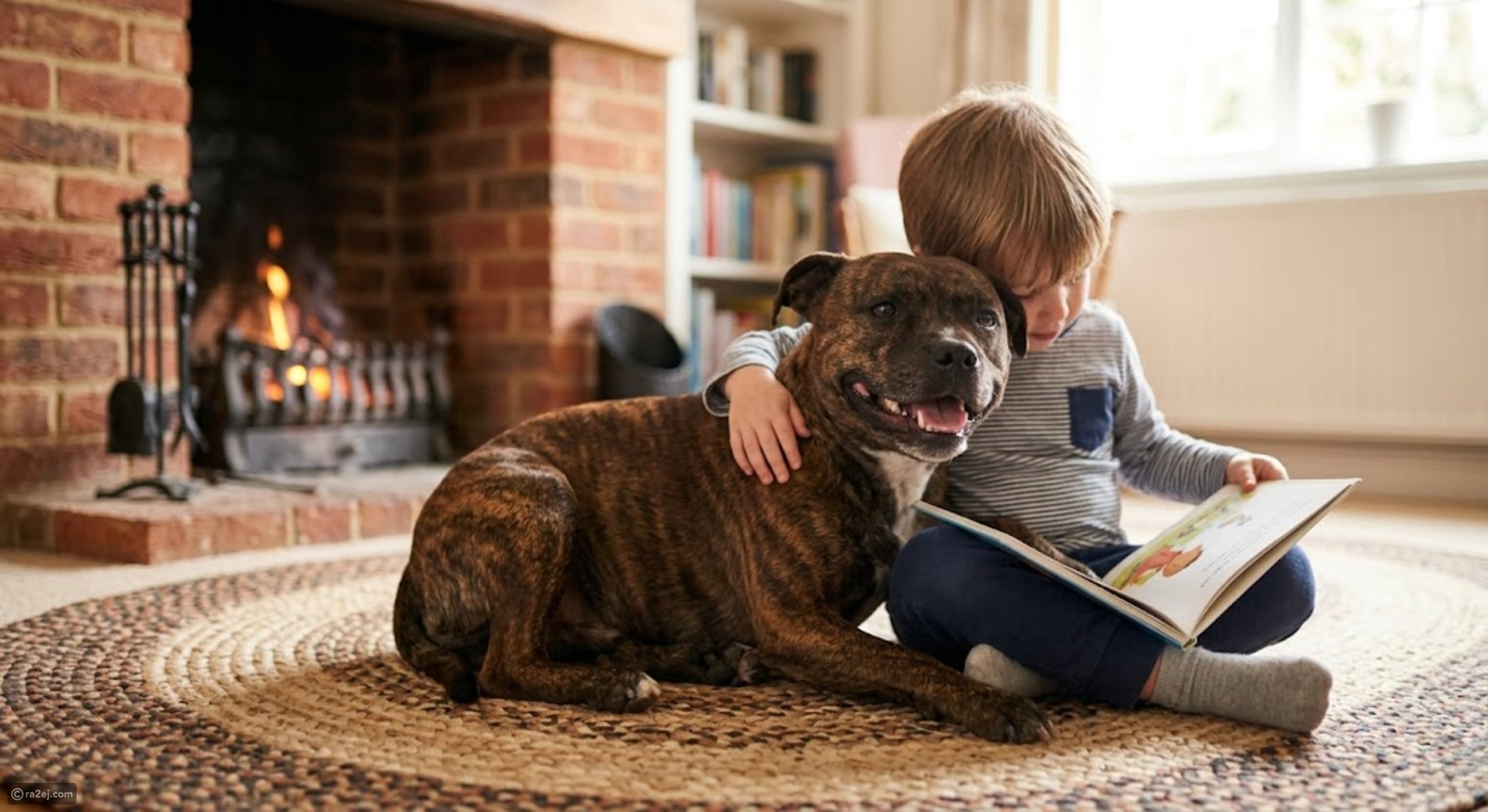 The UK's most loved dogs and why people adore them