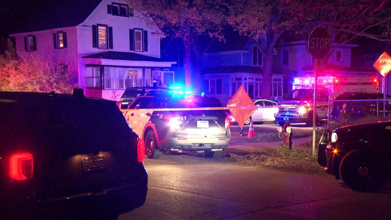 Man stabbed brother in north Minneapolis home after arguing about messy ...