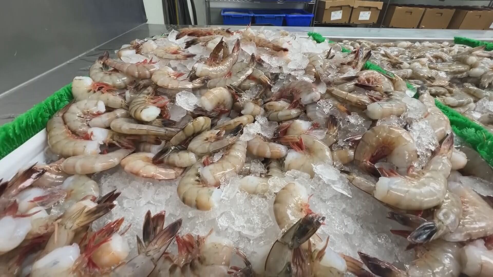 Mississippi Gulf Coast seafood labeling shows improvement, but concerns ...