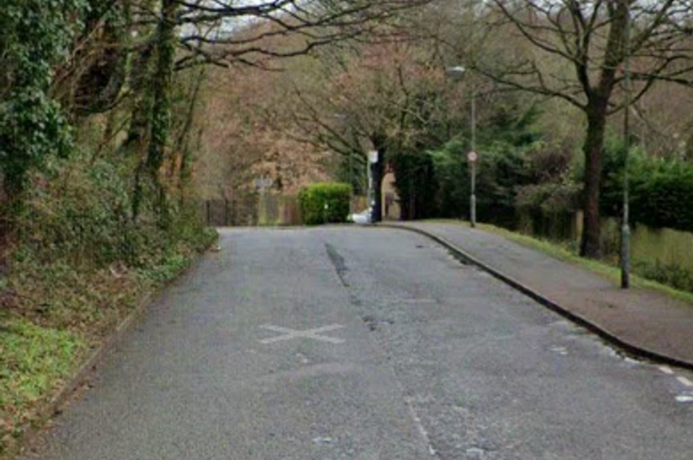 Family facing £5k bill after 'lifesaving' cat left seriously injured on ...