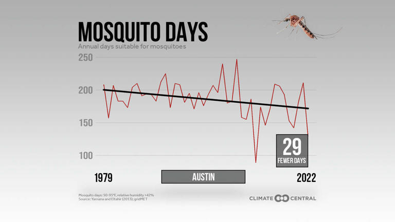 Heat and humidity drive mosquito surge in Texas, but is it worse than ...