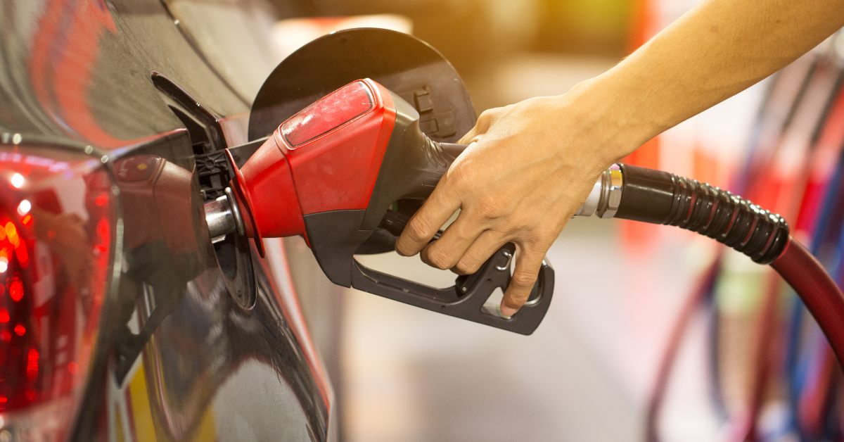 The average gas price the year you were born