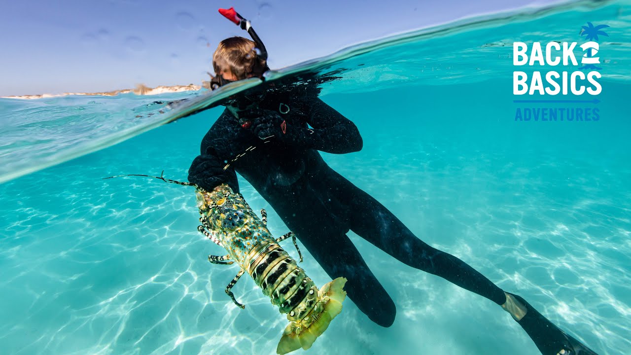Stranded in crystal waters with sharks hunting nearby