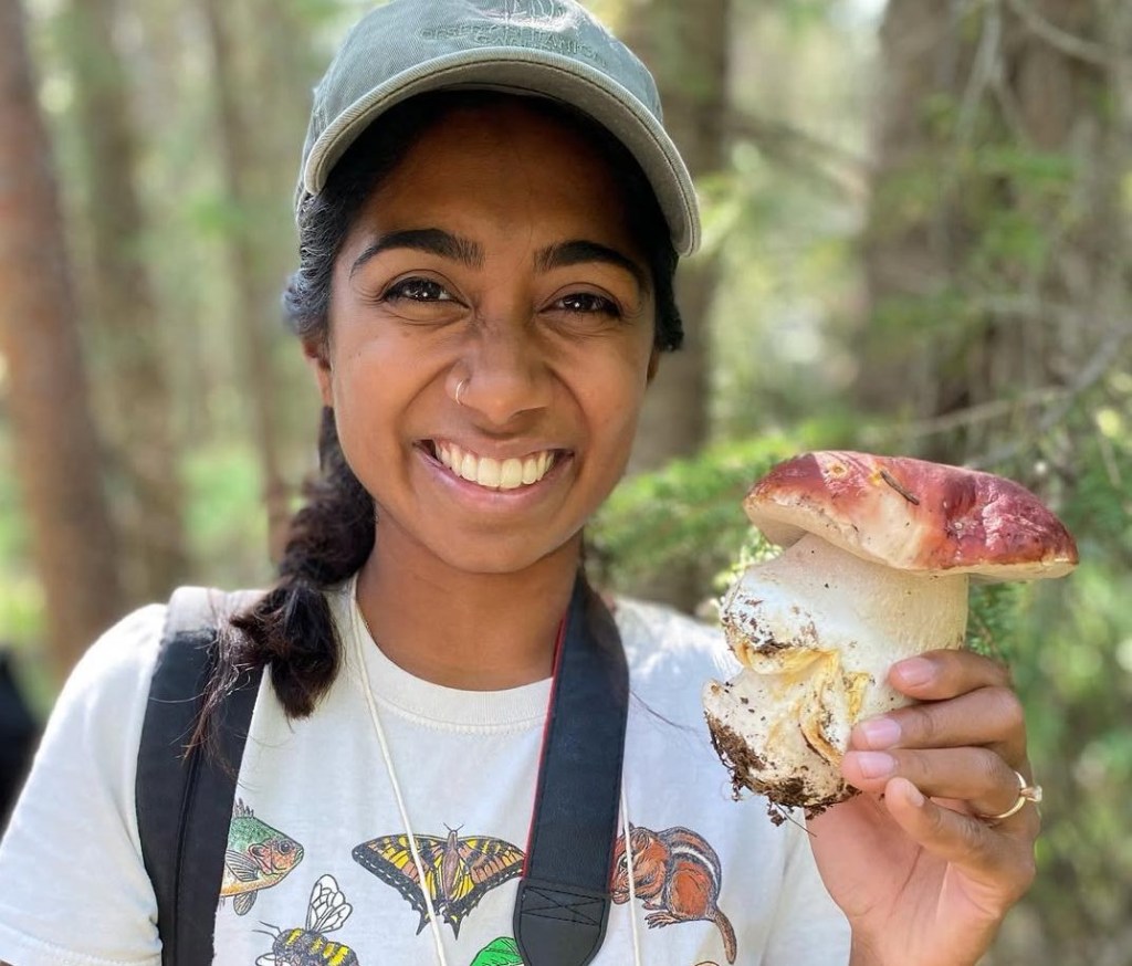 An unstoppable mushroom is destroying North America’s forests