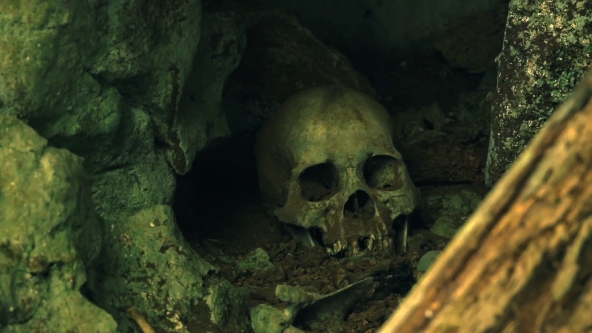 They crawled deep into a cave and discovered something terrifying