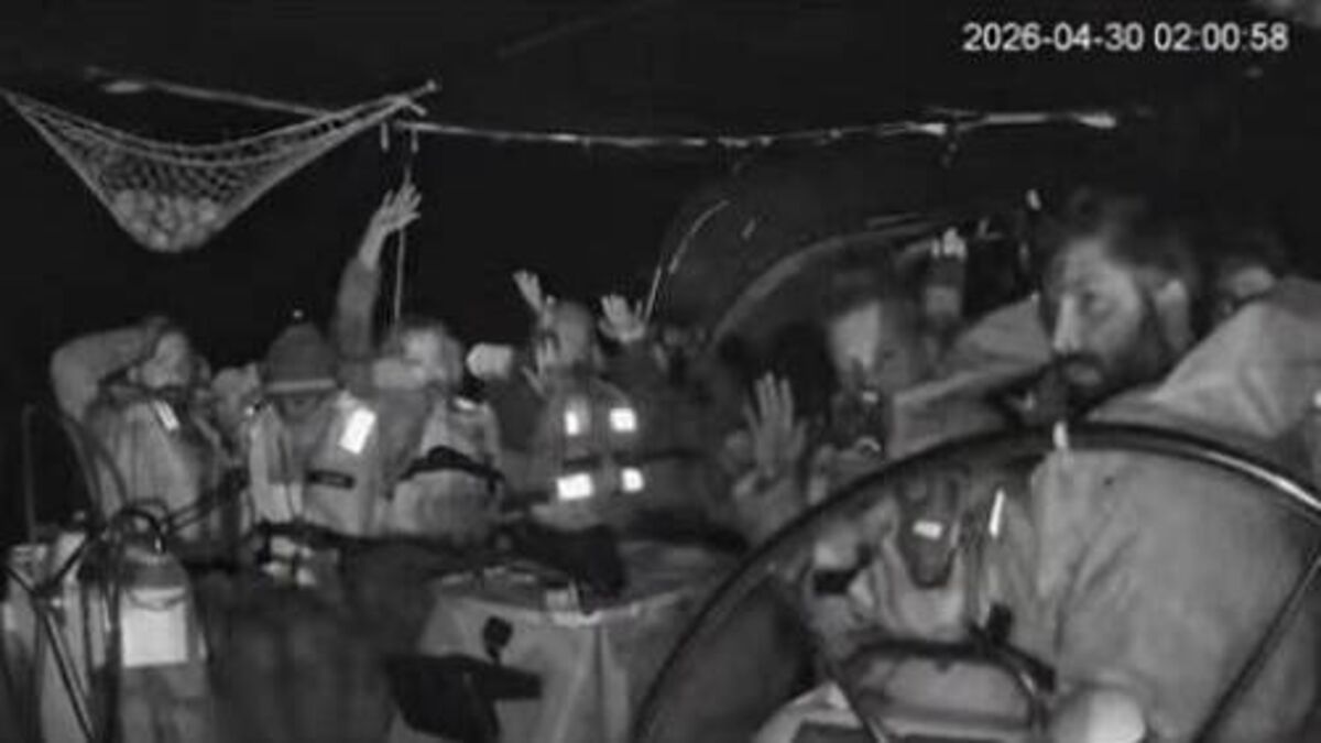 Seven Irish citizens 'kidnapped' after Gaza flotilla intercepted ...