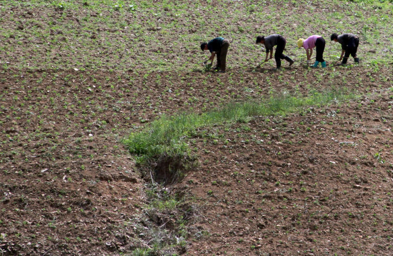 North Korea executions more than doubled after COVID, human rights ...