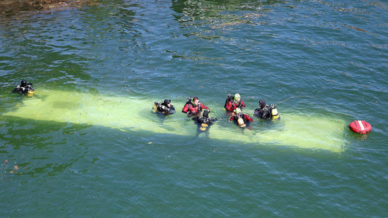 Trainee driver crashes bus into River Seine