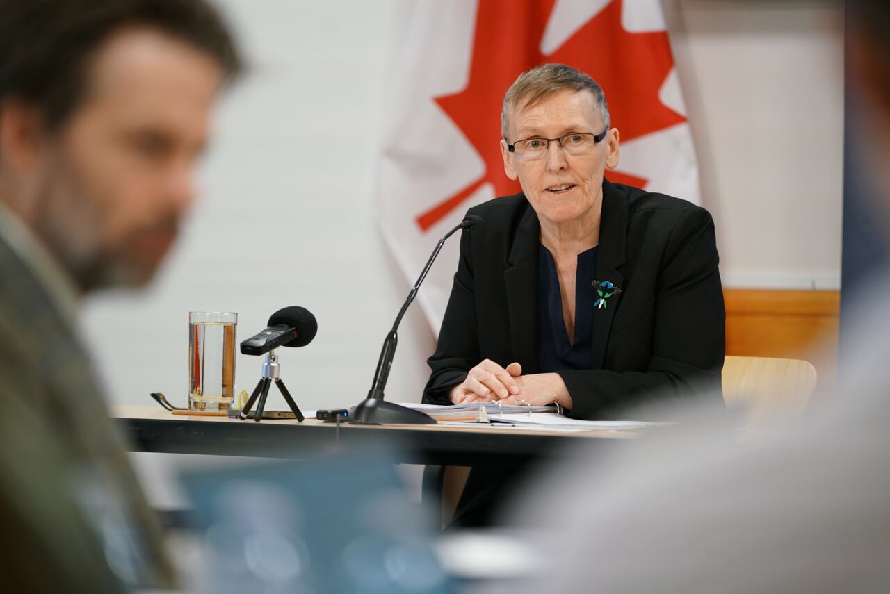 'She knows the fixes,' says Liberal MHA on health minister's ...