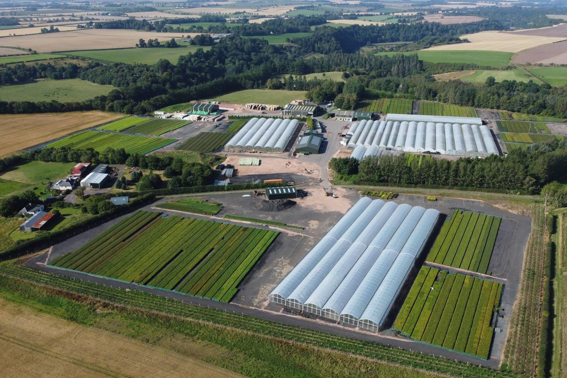 Cheviot Trees announces land acquisition to drive forward expansion