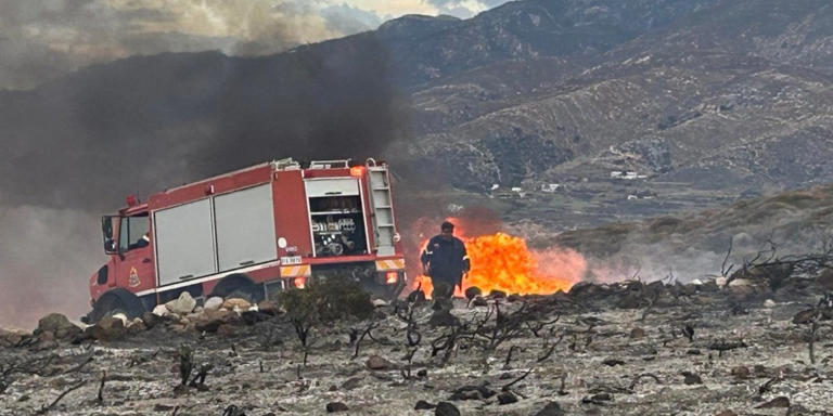 Σε ισχύ ο Ημερήσιος Χάρτης Πρόβλεψης Κινδύνου Πυρκαγιάς για την φετινή ...