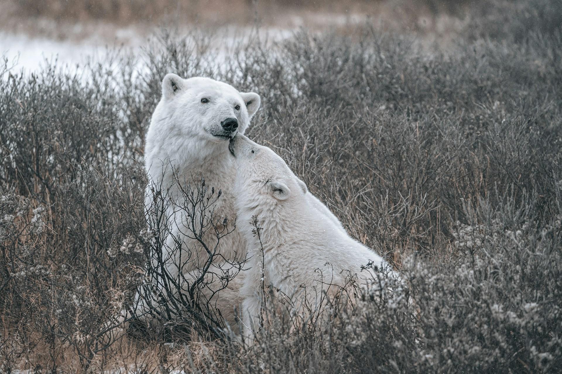 10 Manitoba facts that surprise every Canadian who has never been there