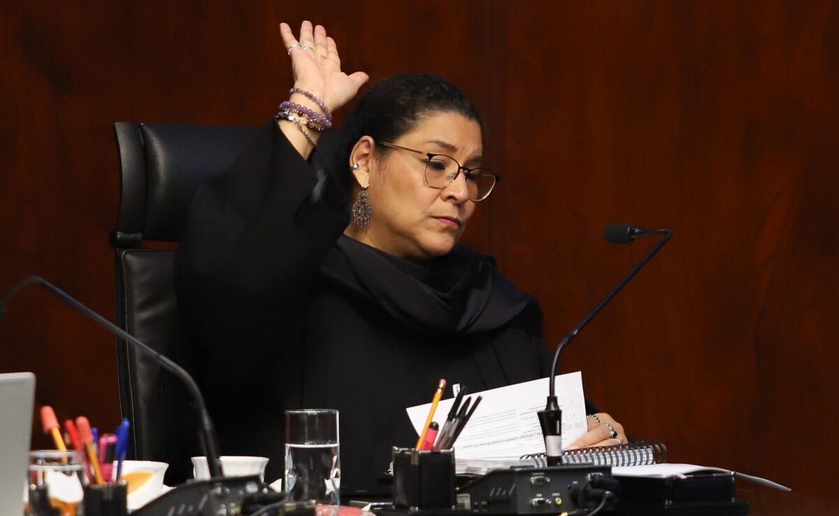 Lenia Batres justifica voto en contra de que IMSS otorgue prótesis a ...