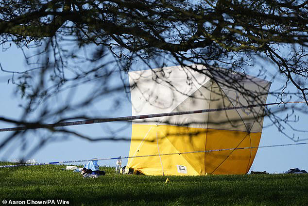 Finbar Sullivan's attackers 'continued to punch and kick him as he lay ...