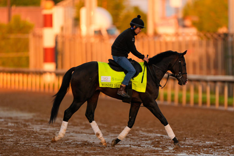 Horse racing in Japan is on the rise. A Kentucky Derby winner could be next