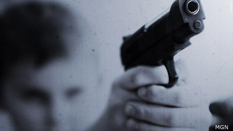 Louisiana bill to hold adults responsible if children access loaded ...
