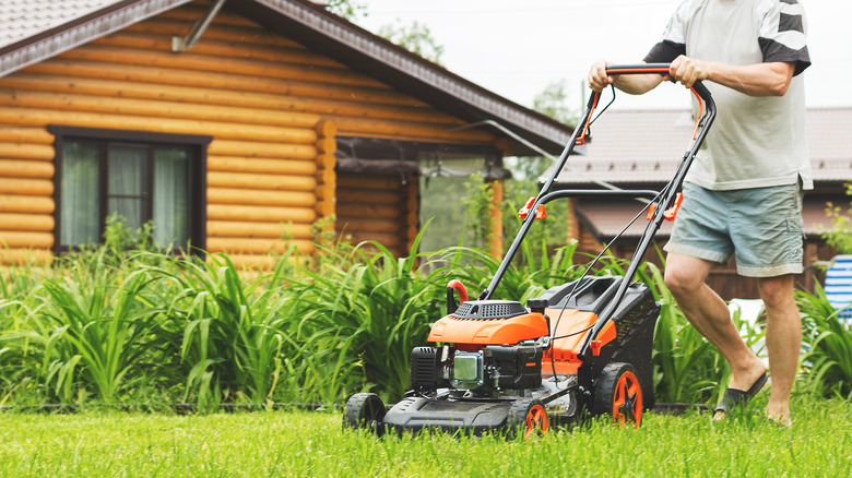 Mistakes everyone makes when buying a lawn mower