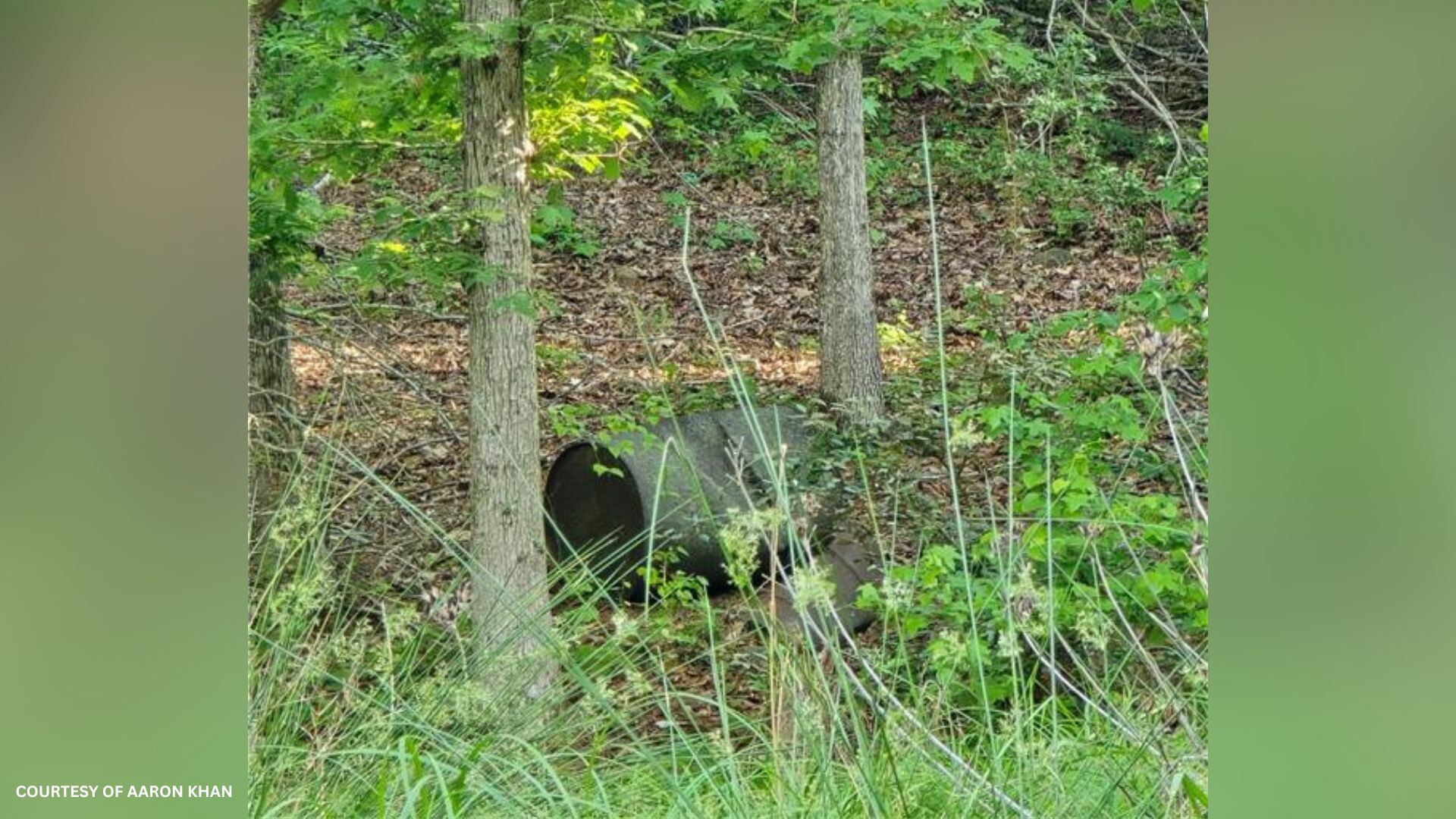 SCDNR: Barrels found near Lake Greenwood under investigation after fish ...