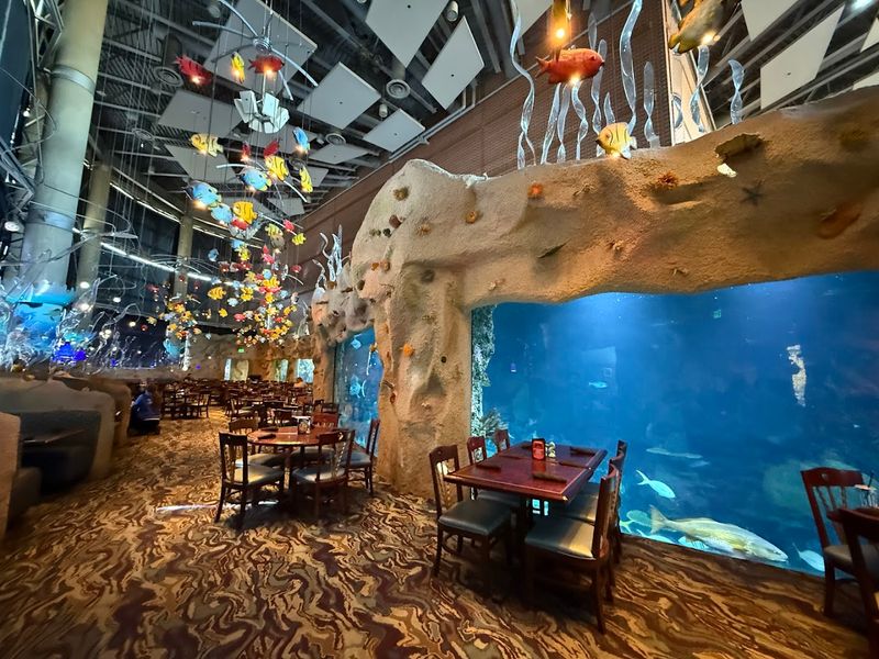 This Colorado seafood and sushi eatery lets you dine beside massive ...