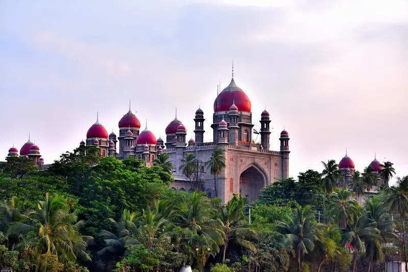 High court pulls up HYDRAA over illegal construction in Salkam Cheruvu ...