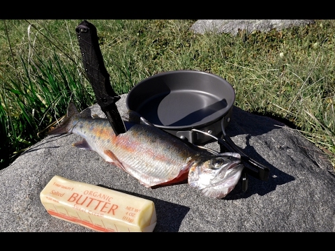 Catch and cook: Wild trout edition!