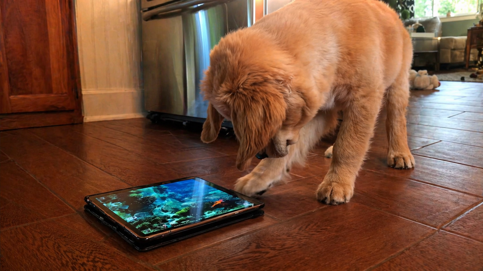 My puppy meets technology for first time