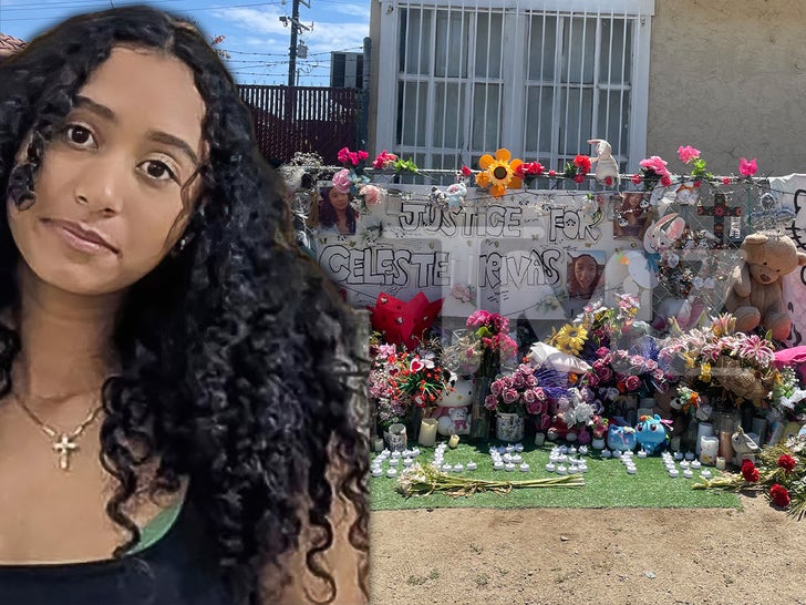 Celeste Rivas' memorial outside family home seen after D4VD's arrest