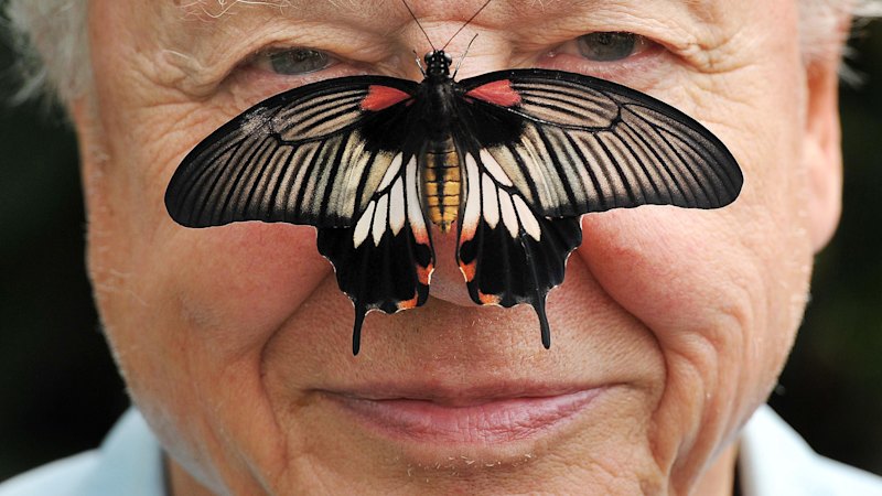 Legend. Icon. Prophet. David Attenborough on the cusp of 100