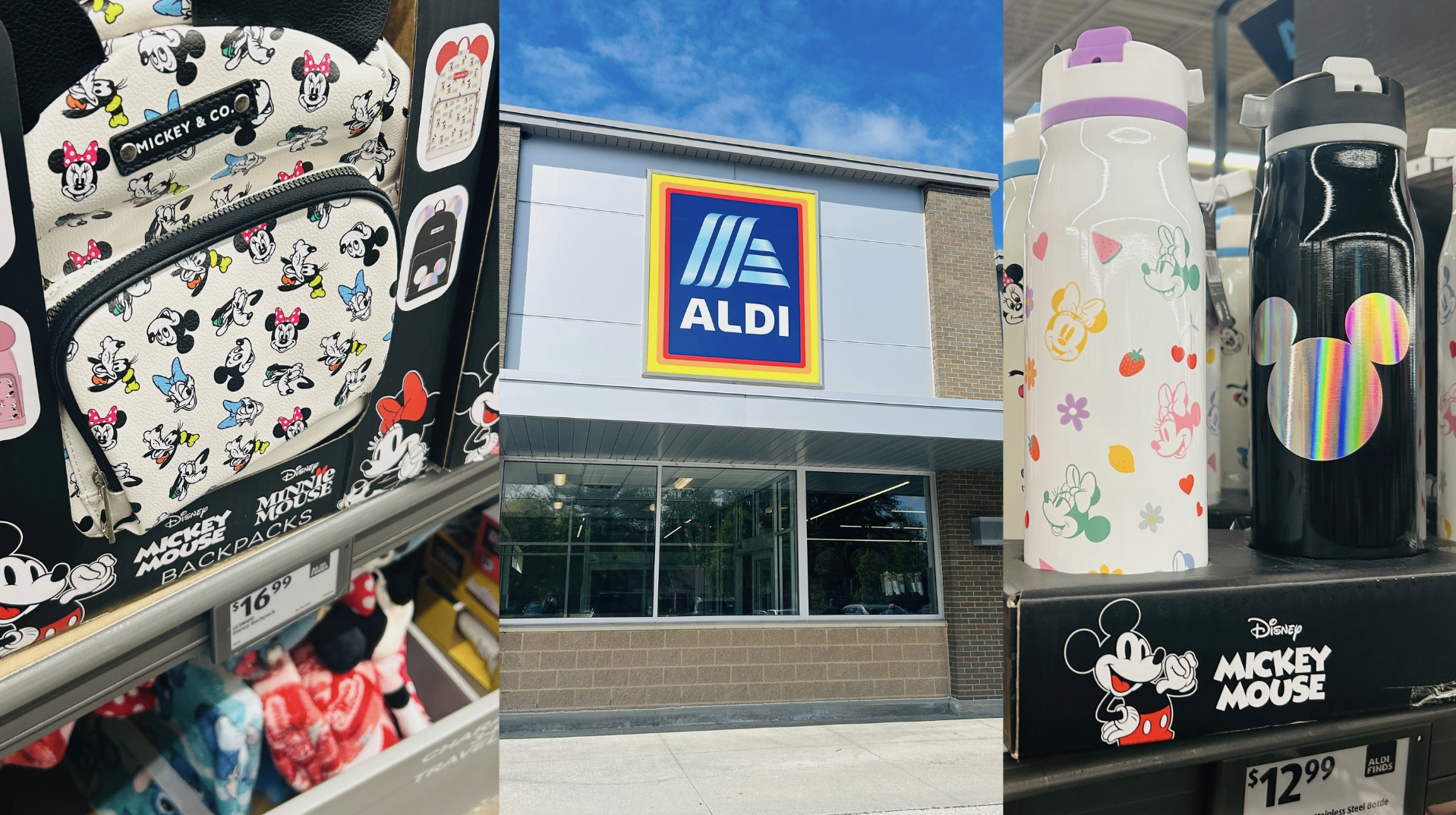 Aldi's new Disney drop is going viral and prices start at $6.99!