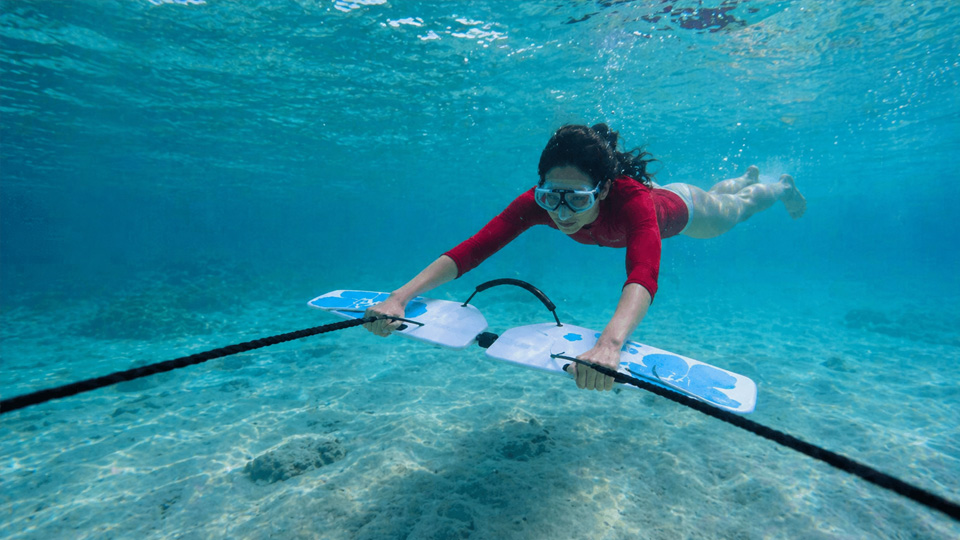 Subwing flow creates smooth underwater flight