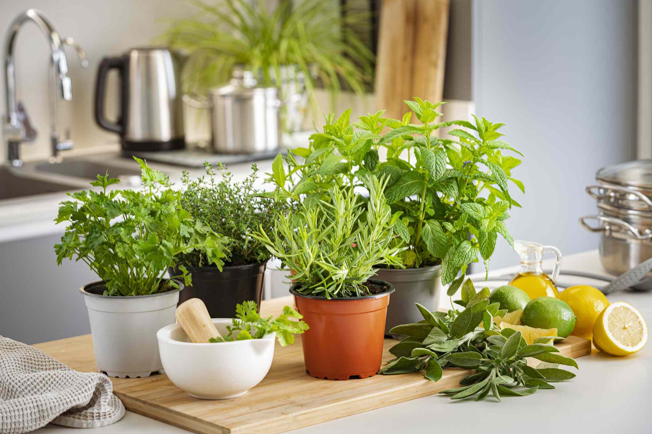 6 herbs and spices with more vitamin C than you might expect