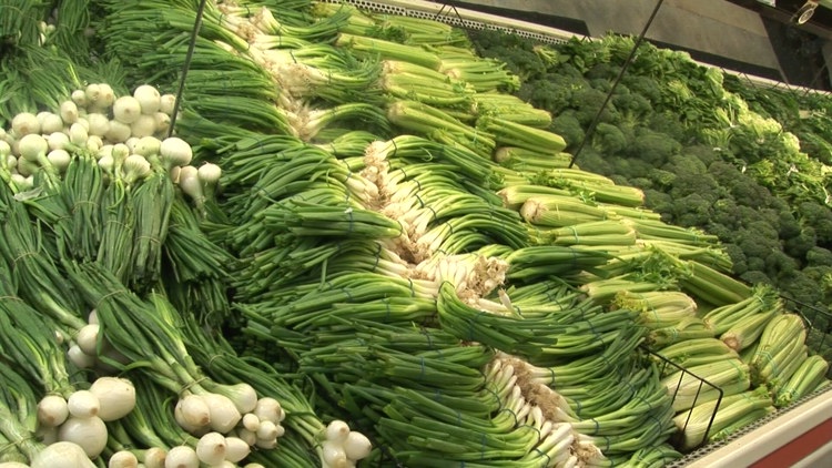 Public grocery store proposal to address food deserts sparks debate in ...