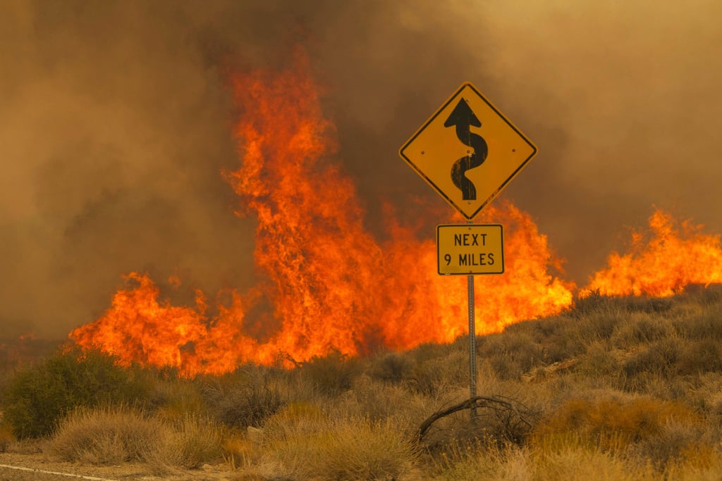BLM issues fire prevention order for Nevada public lands