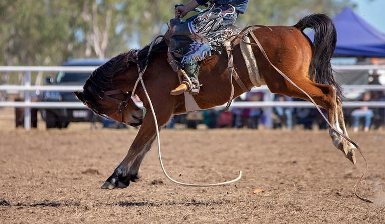 Starz announces new drama set in the world of Black rodeo