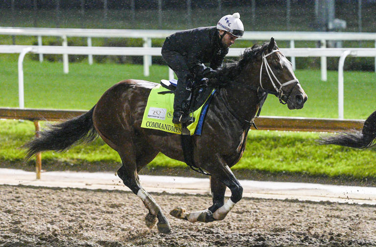 Which Kentucky Derby horse will win Run for the Roses? A case for each