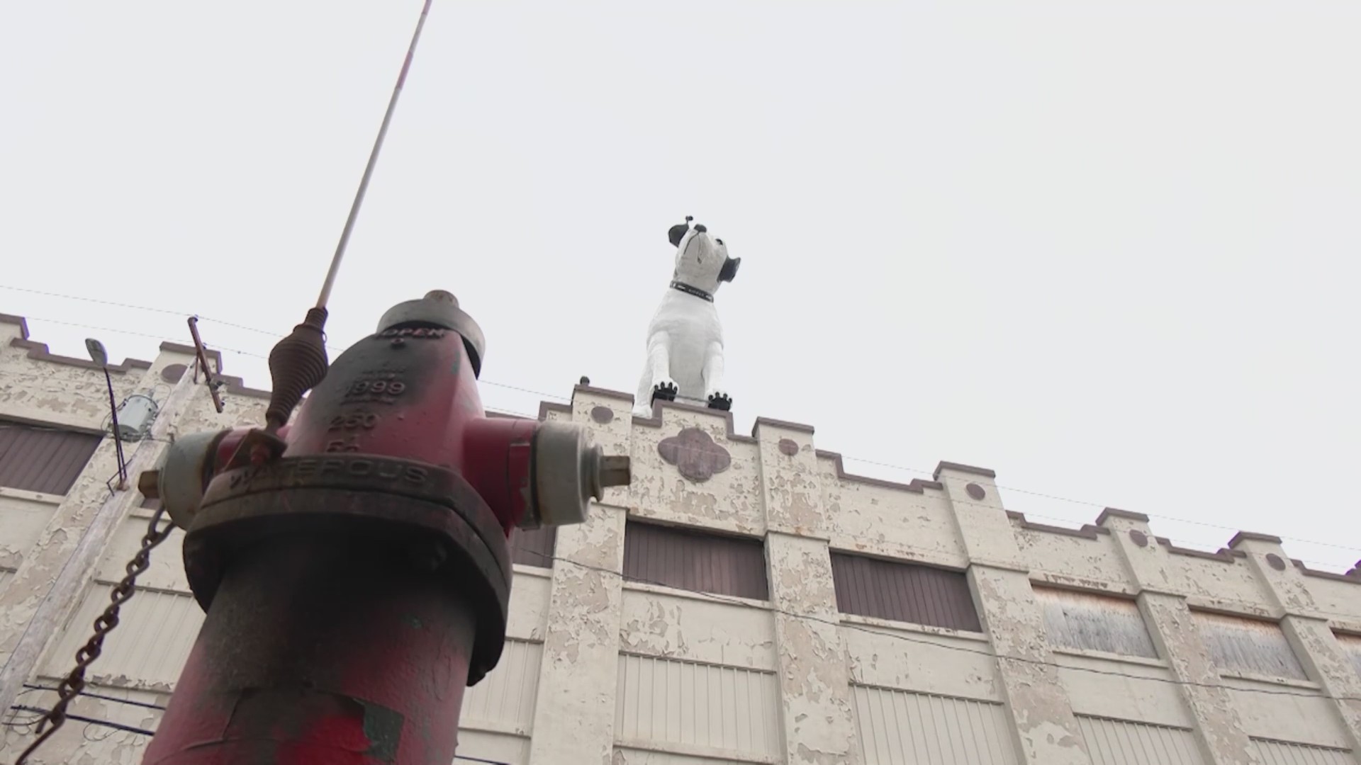 Nipper, stay! The future of a beloved dog statue on an Albany warehouse ...