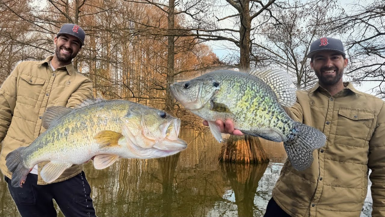 See the moment fishermen pull a giant bass from lake