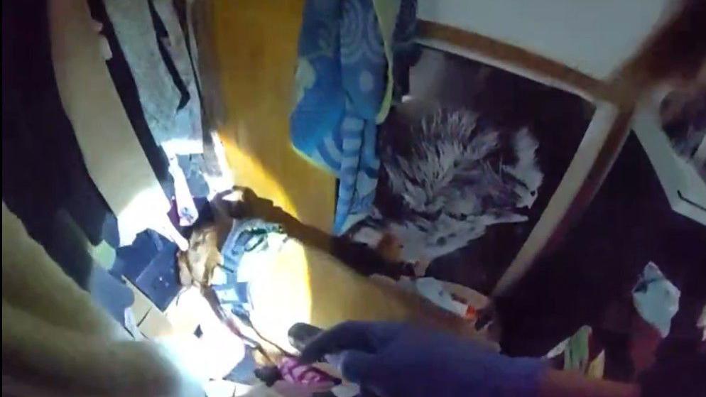 Police dog sniffs out cocaine in bedroom safe