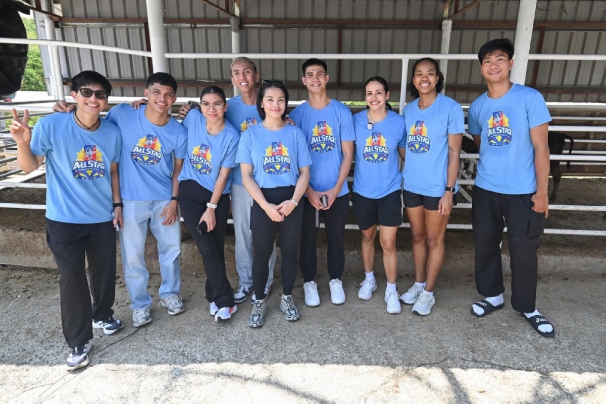 Volleyball all-stars take center stage