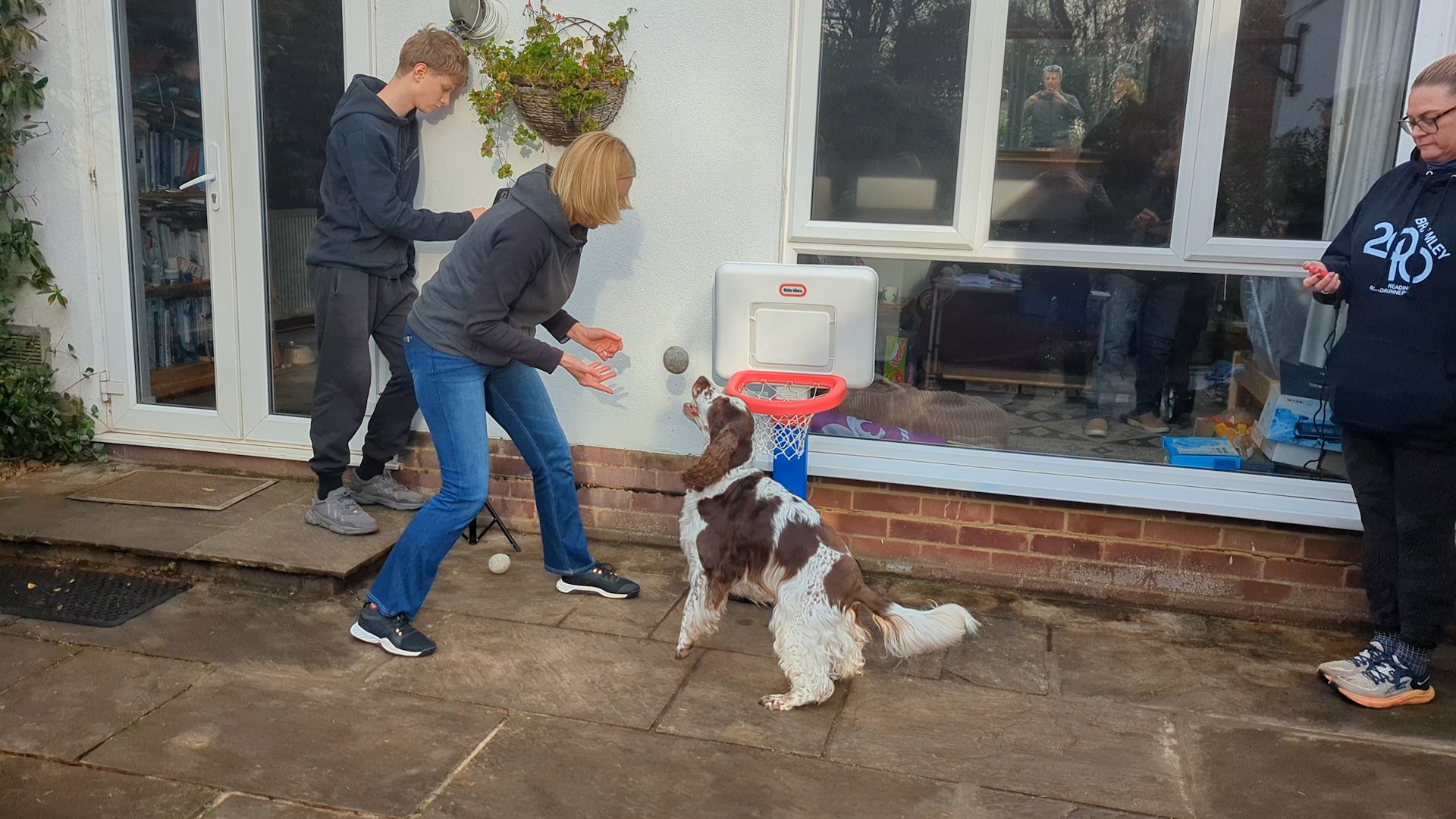 Most basketballs caught and dunked by a dog in 30 seconds - 10 by ...