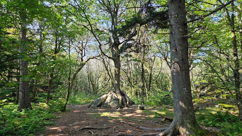 This 4,500-acre Virginia park seems normal at first, until you stumble ...