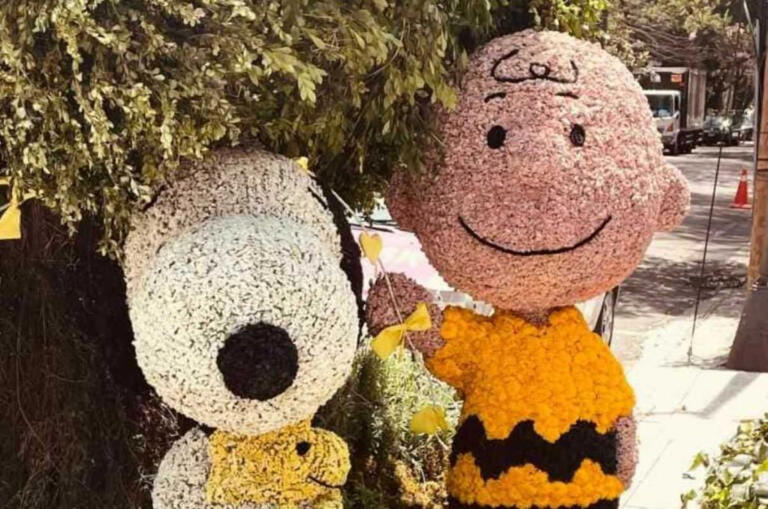 Rosita Fresita invade FYJA 2026 y Polanco se llena de flores
