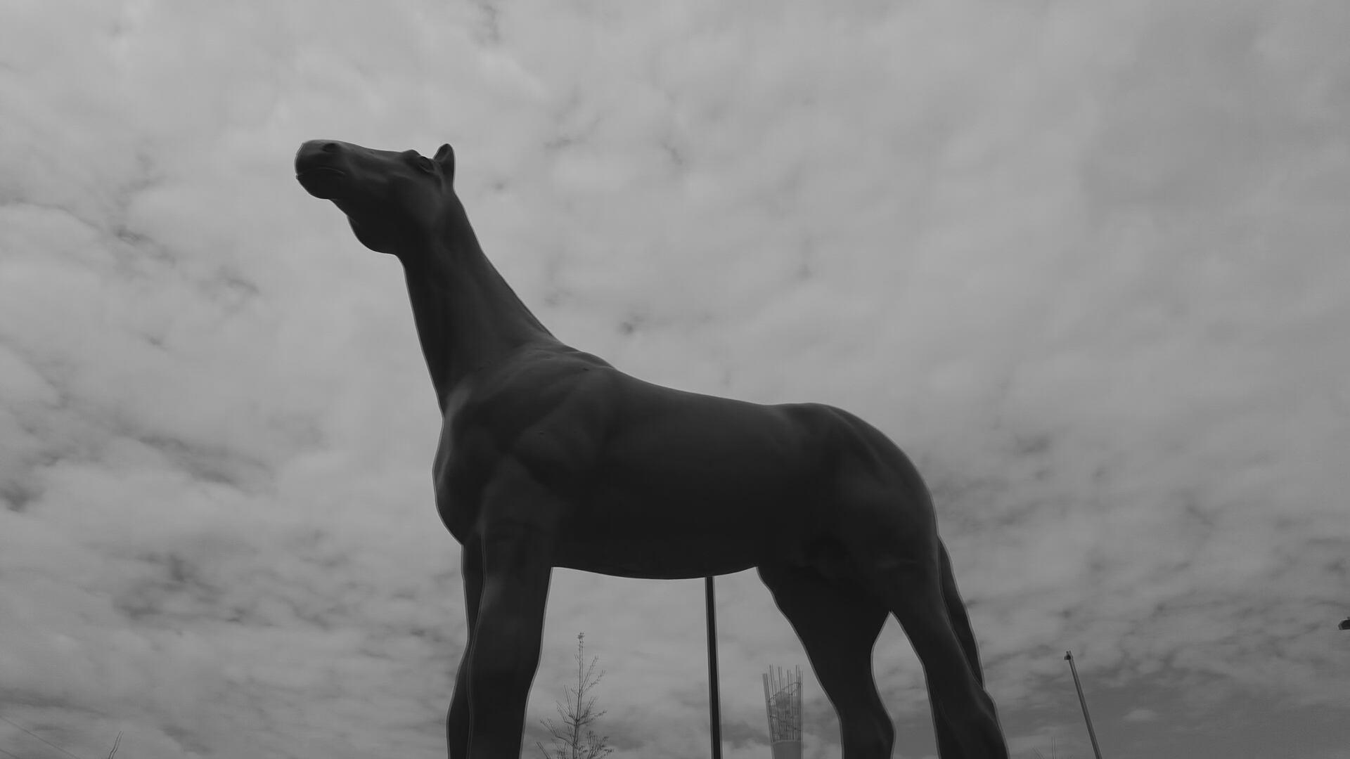 Lexington: The life, death and afterlife of the most famous ...