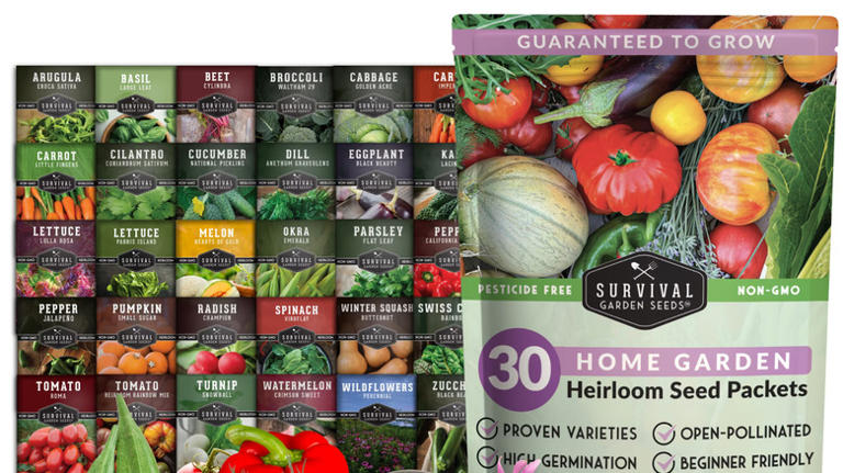 15 affordable Walmart gardening supplies to help you start growing ...