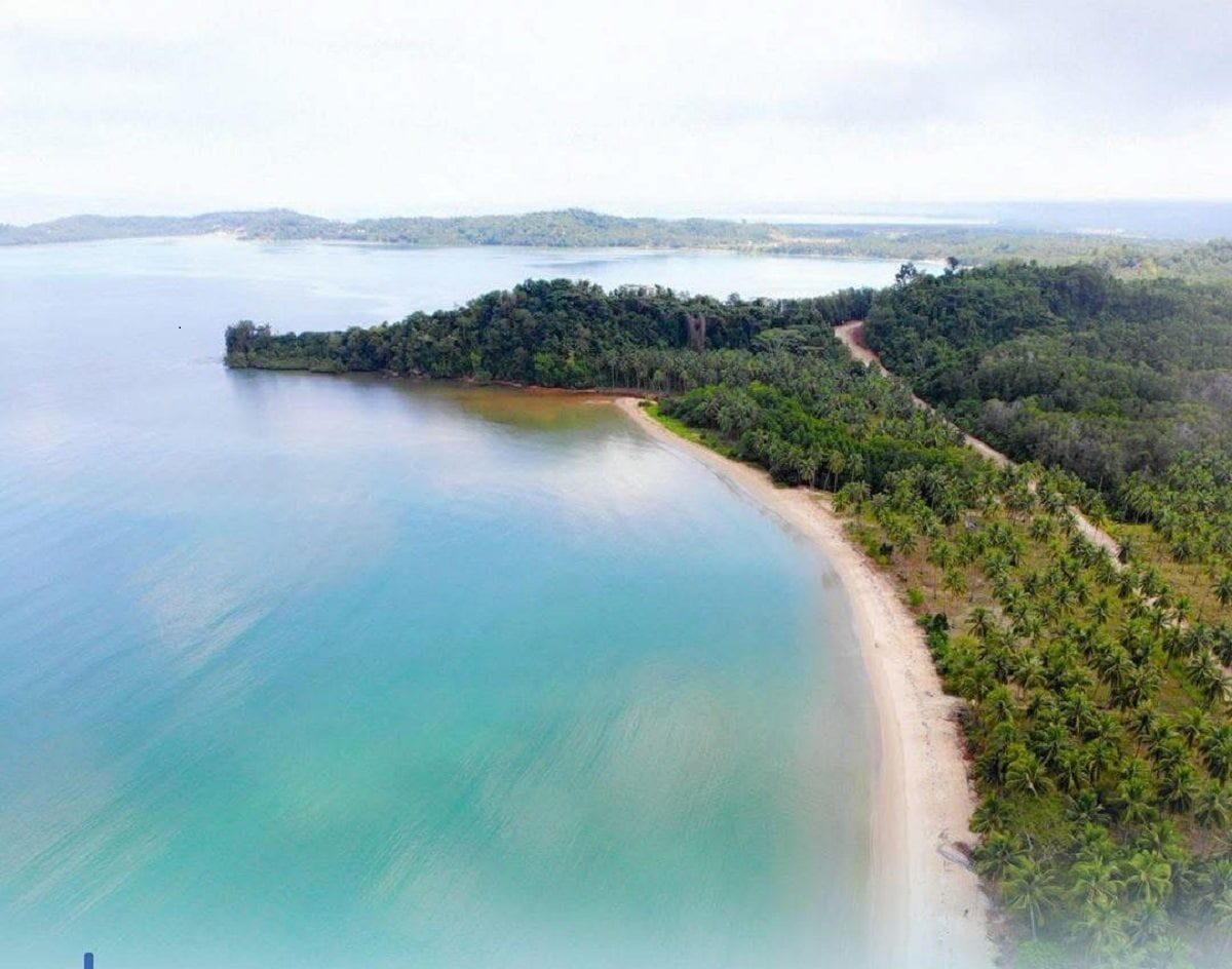 Megaworld to triple carbon forest cover at townships nationwide