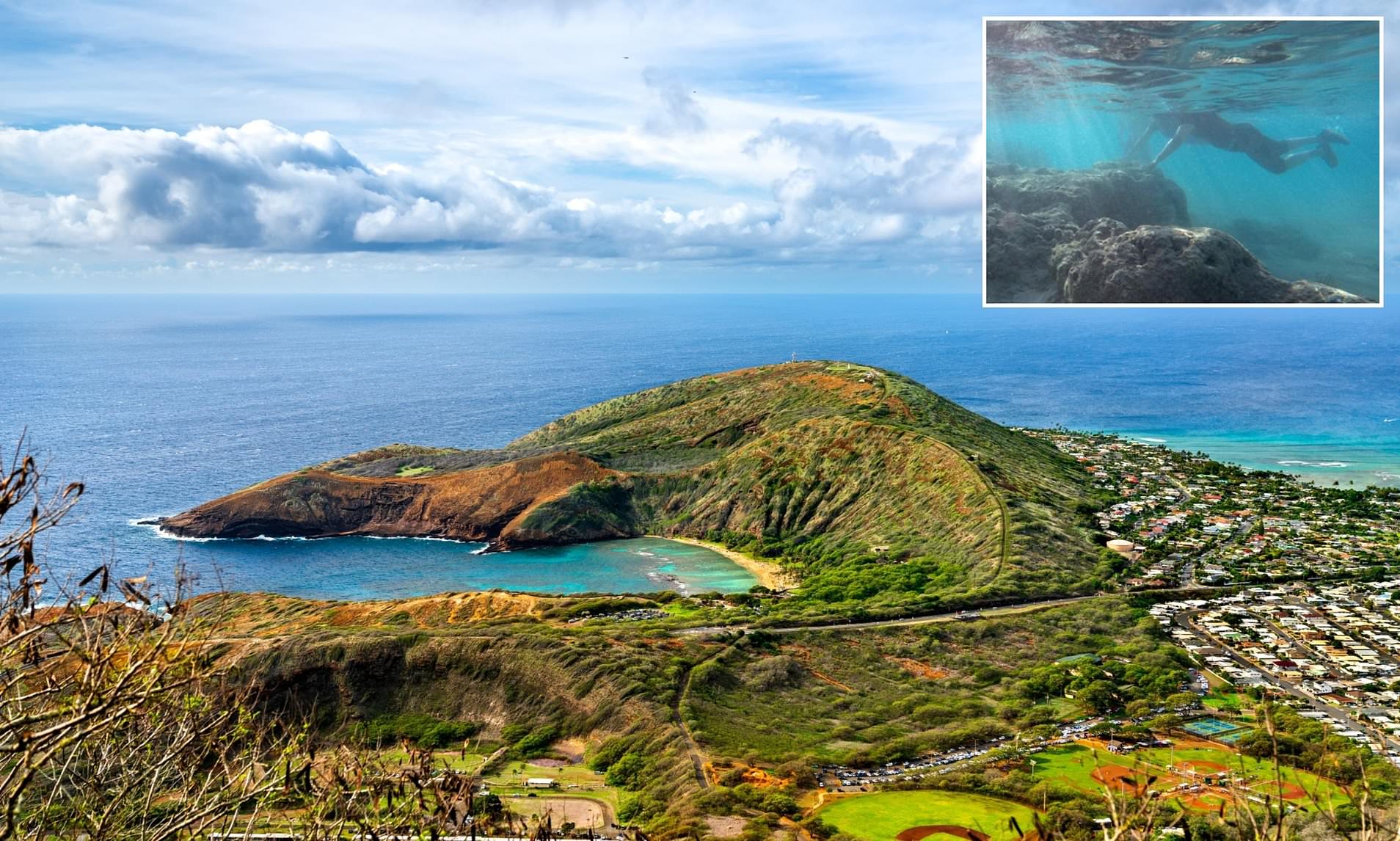 Bay Area woman, 66, dies while snorkeling during trip to paradise ...