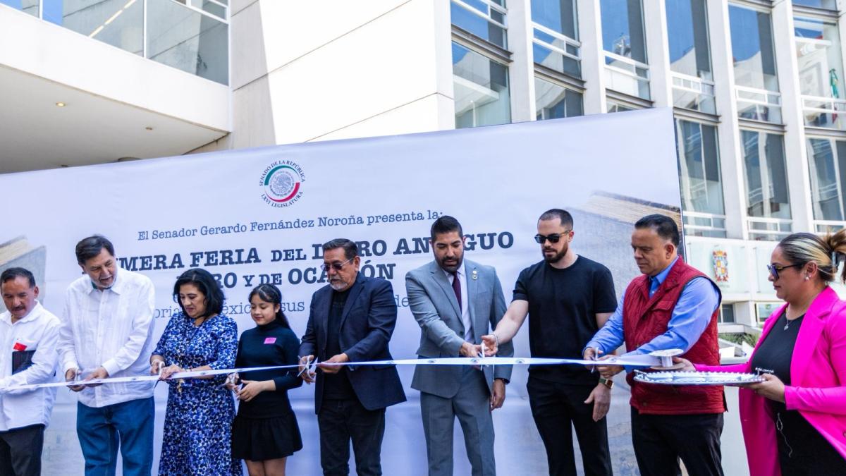 Marcos Cojab lleva el arte contemporáneo al Senado de la República